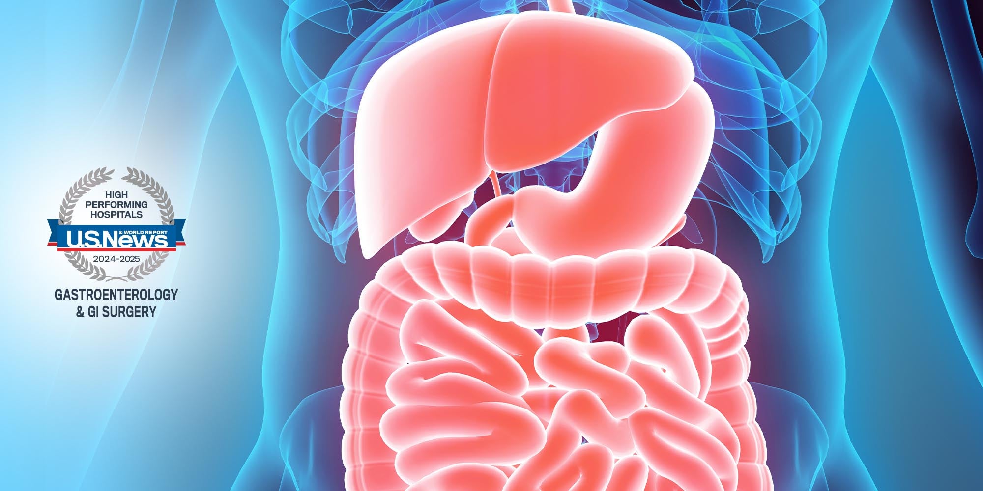 Digestive Health | Loyola Medicine