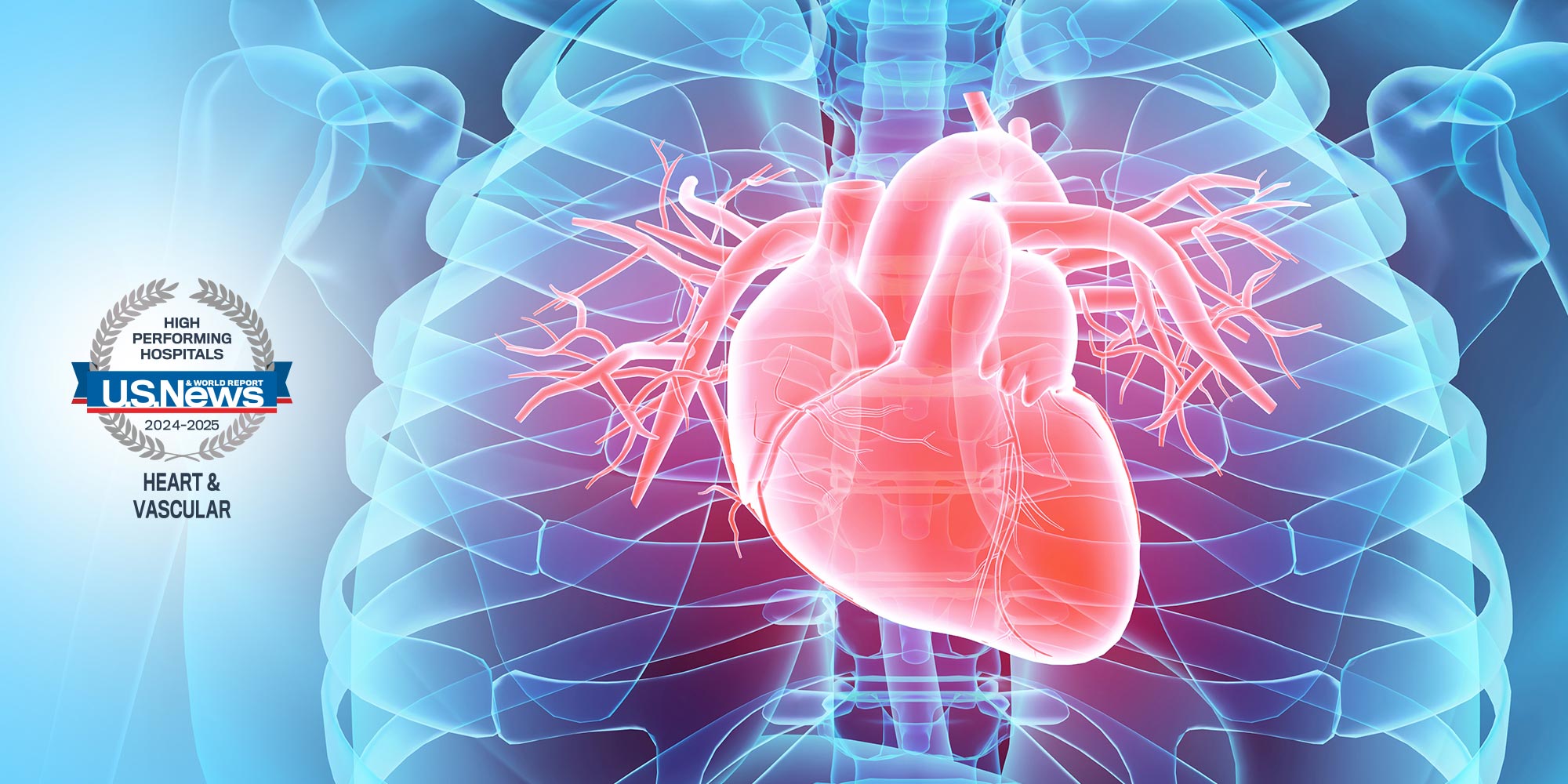 Heart and Vascular Care | Loyola Medicine