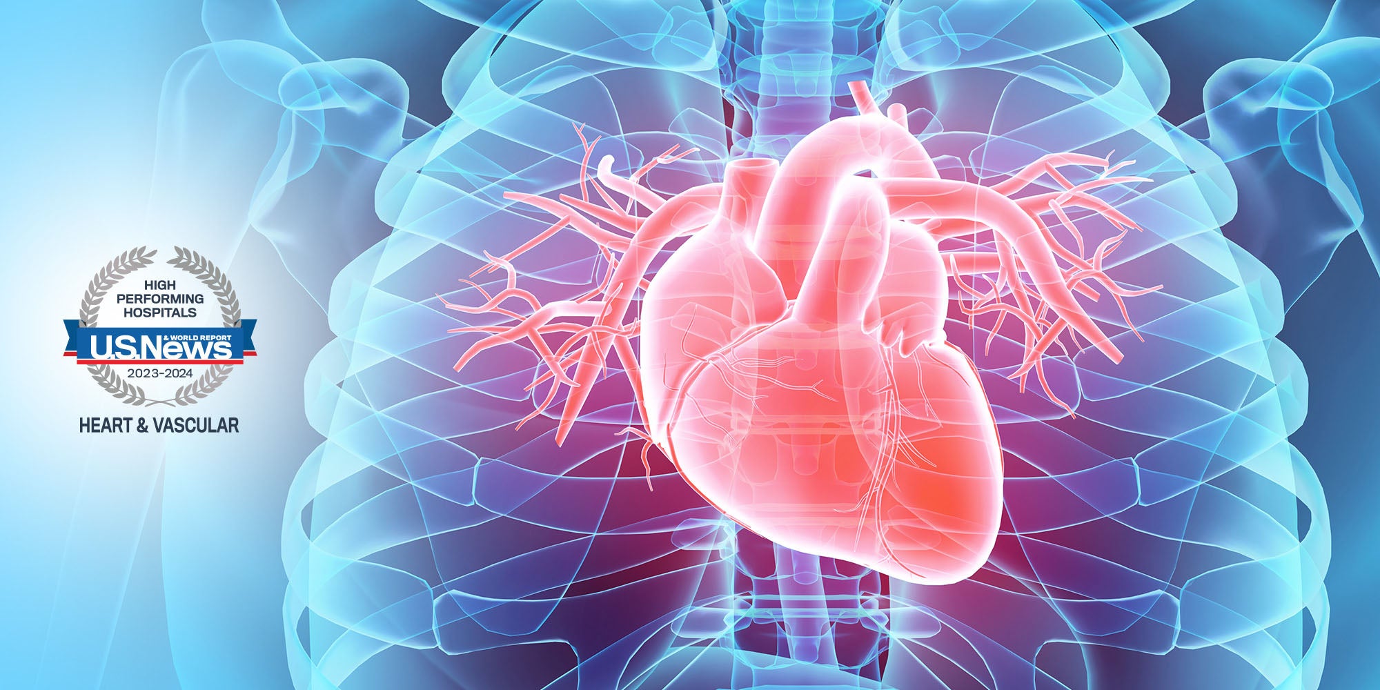 Heart and Vascular Care | Loyola Medicine