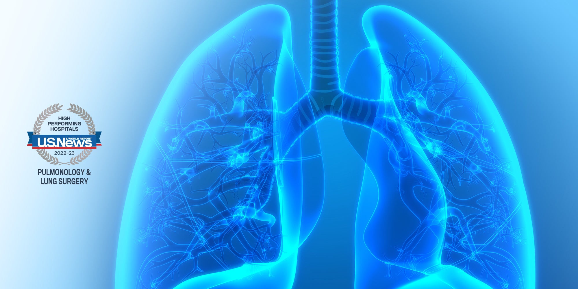 Thoracic Surgery | Loyola Medicine